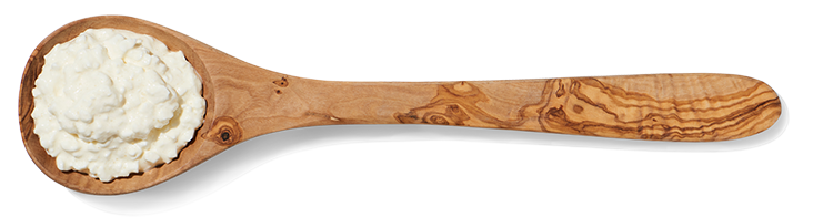 Lowfat Cottage Cheese | Clover Sonoma