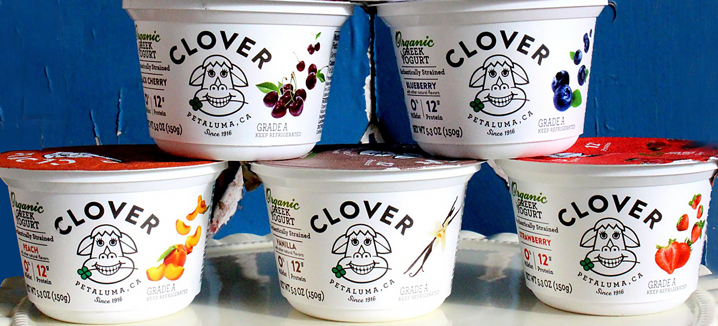 Clover Celebrates 100 Years with New Organic Greek Yogurt 2016 - Clover
