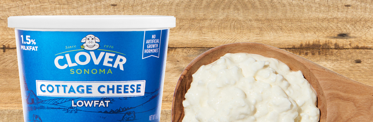 Is Cottage Cheese Good for You? - Clover