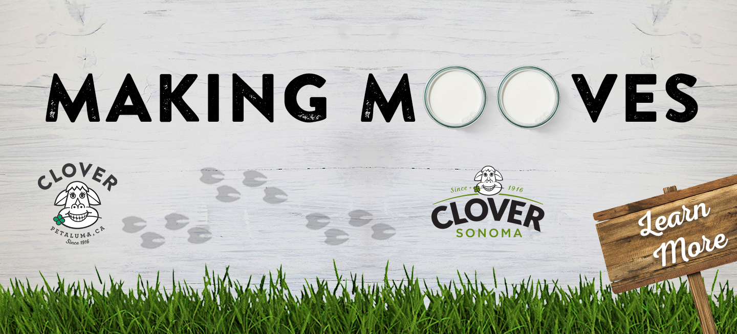 Clover Celebrates a Mooooving Finish - Clover