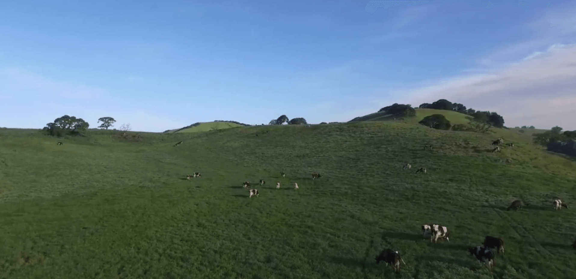 Clover Stornetta Farms Embraces Future with Rebrand to Clover Sonoma ...