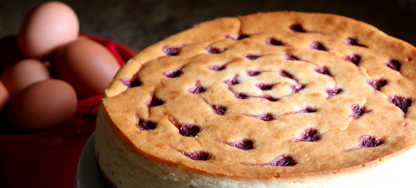Clover Lover’s Sonoma-Style Cheesecake | Recipes | Clover Sonoma