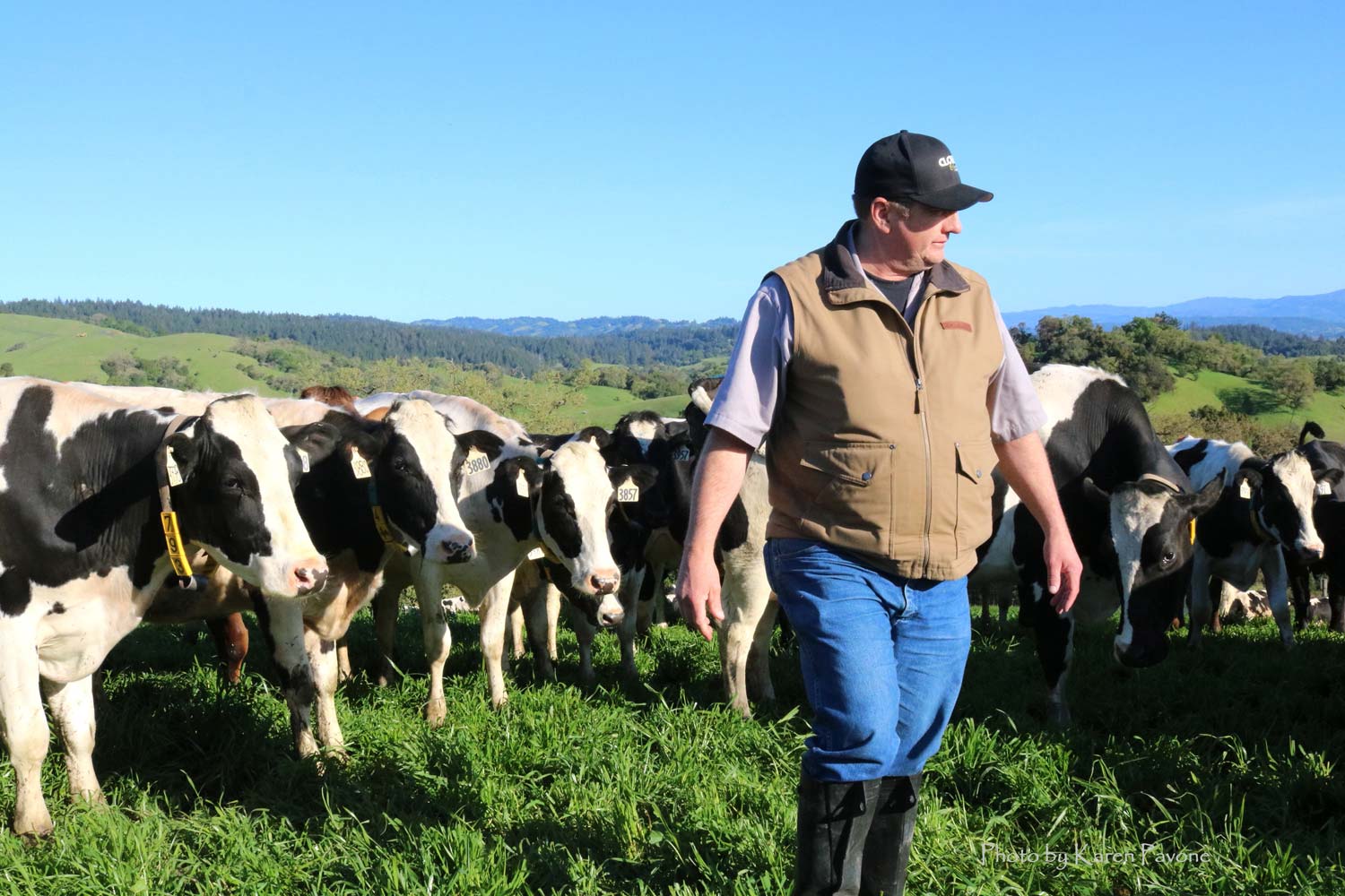 Clover Producer Spotlight: Bucher Farms, Healdsburg