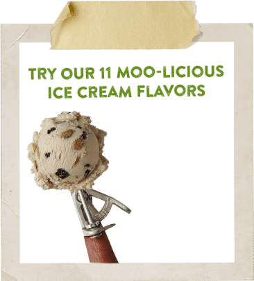 Clover Sonoma Celebrates the Holidays with Classic Eggnog and New ...