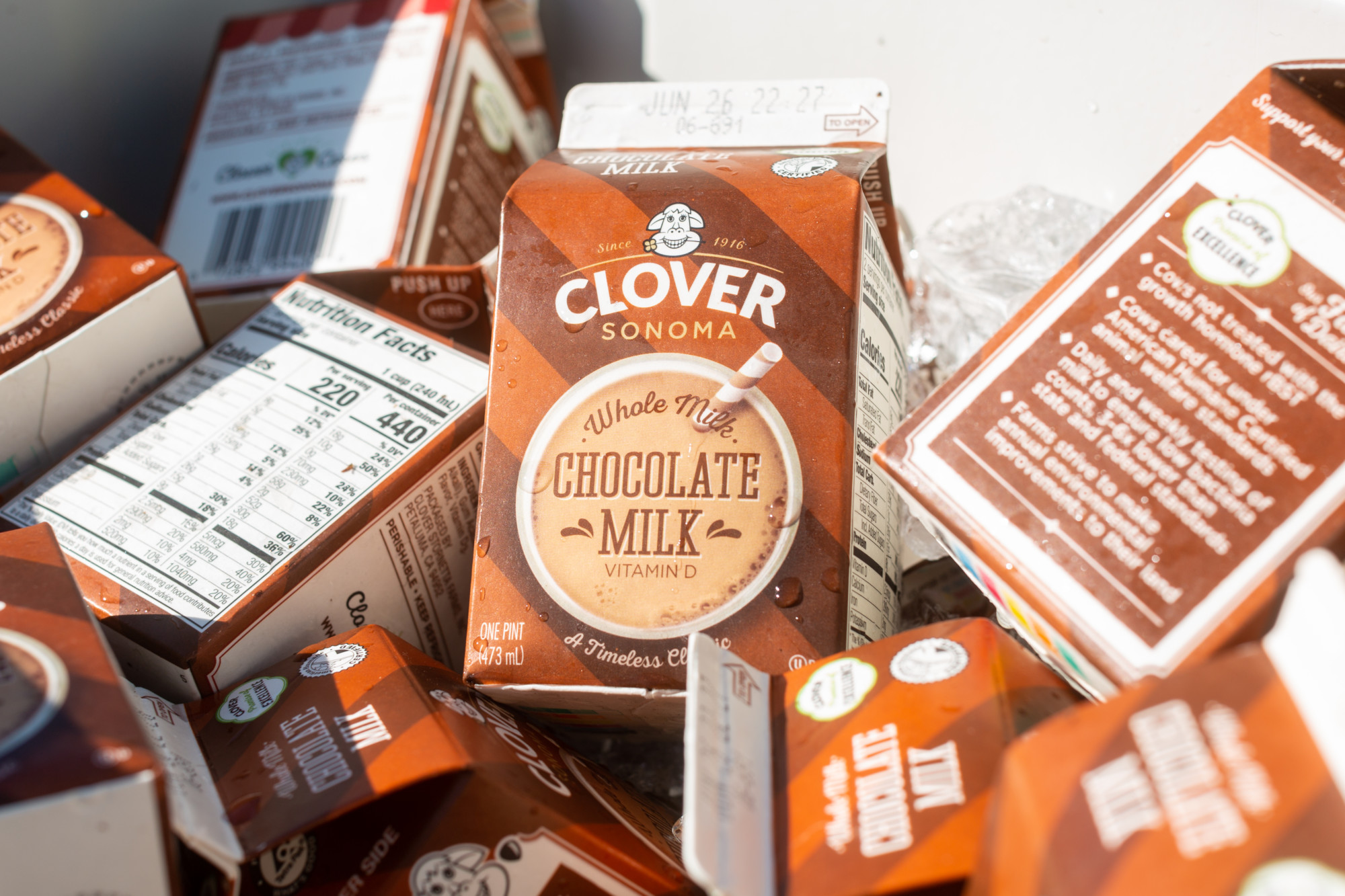 Clover Chocolate Milk: Nature’s Best Exercise Recovery Drink - Clover